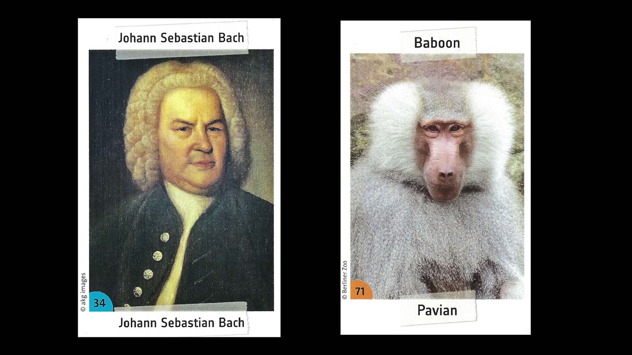 Pasch-TV - Folge 247